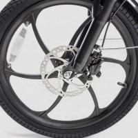 China Adult Electric Folding Bike 20 Inch 36V 250W E Bike with LCD Display for sale