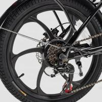 China Adult Electric Folding Bike 20 Inch 36V 250W E Bike with LCD Display for sale