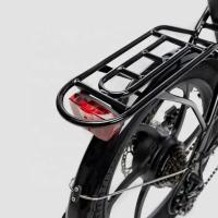 China Adult Electric Folding Bike 20 Inch 36V 250W E Bike with LCD Display for sale
