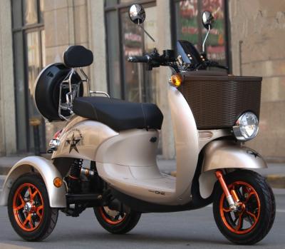 China 3 Wheel Motorcycle for Adult 500W 48V 72V Electric Tricycle with 10 Inch Tire CE for sale