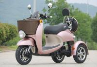 China 3 Wheel Motorcycle for Adult 500W 48V 72V Electric Tricycle with 10 Inch Tire CE for sale