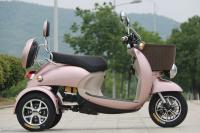 China 3 Wheel Motorcycle for Adult 500W 48V 72V Electric Tricycle with 10 Inch Tire CE for sale