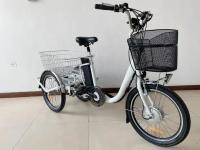 China 36V 250W 350W Adult Folding Electric Trike 20 Inch 3 Wheel Cargo Bike for sale