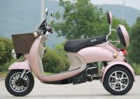 China 3 Wheel Motorcycle for Adult 500W 48V 72V Electric Tricycle with 10 Inch Tire CE for sale