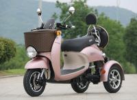 China 3 Wheel Motorcycle for Adult 500W 48V 72V Electric Tricycle with 10 Inch Tire CE for sale