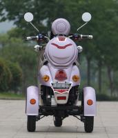 China 3 Wheel Motorcycle for Adult 500W 48V 72V Electric Tricycle with 10 Inch Tire CE for sale