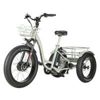 China 48V 500W 7 Speed Electric Tricycle 24 Inch Fat Tire Adult Trike with 150kg Load Capacity for sale