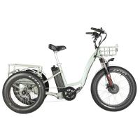 China 48V 500W 7 Speed Electric Tricycle 24 Inch Fat Tire Adult Trike with 150kg Load Capacity for sale