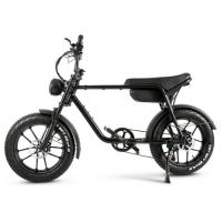 China 20 Inch Fat Tire Electric Bike 750W 48V 17Ah Aluminum Alloy Frame E-Bike for sale