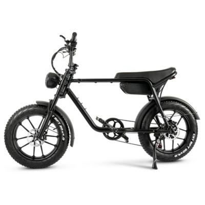 China 20 Inch Fat Tire Electric Bike 750W 48V 17Ah Aluminum Alloy Frame E-Bike for sale