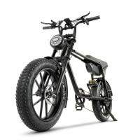 China 20 Inch Fat Tire Electric Bike 750W 48V 17Ah Aluminum Alloy Frame E-Bike for sale