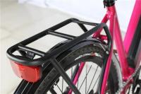 China Aluminum Alloy Electric City Bike 36V 10Ah Lithium Battery 26 Inch 250W Motor for sale