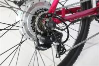 China Aluminum Alloy Electric City Bike 36V 10Ah Lithium Battery 26 Inch 250W Motor for sale