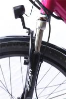 China Aluminum Alloy Electric City Bike 36V 10Ah Lithium Battery 26 Inch 250W Motor for sale