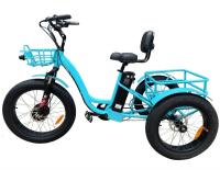 China 24 Inch 3 Wheel Electric Tricycle 48V 750W 7 Speed Fat Tire Cargo Bike for Adults for sale