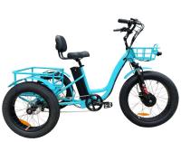 China 24 Inch 3 Wheel Electric Tricycle 48V 750W 7 Speed Fat Tire Cargo Bike for Adults for sale