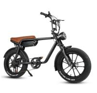 China 750W Fat Tire Electric Bicycle 48V 17Ah Battery with Front Suspension for sale