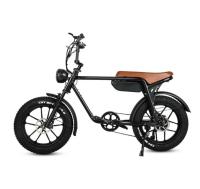 China 750W Fat Tire Electric Bicycle 48V 17Ah Battery with Front Suspension for sale