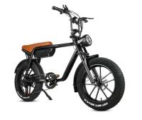 China 750W Fat Tire Electric Bicycle 48V 17Ah Battery with Front Suspension for sale