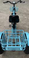 China 24 Inch 3 Wheel Electric Tricycle 48V 750W 7 Speed Fat Tire Cargo Bike for Adults for sale