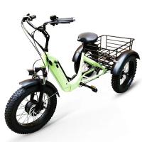 China Aluminum Alloy Frame 3 Wheel Electric Tricycle 48V 500W 20 Inch Fat Tire Folding Cargo Bike for sale