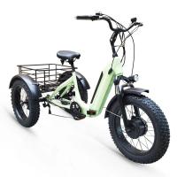 China Aluminum Alloy Frame 3 Wheel Electric Tricycle 48V 500W 20 Inch Fat Tire Folding Cargo Bike for sale