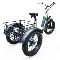 China Aluminum Alloy Frame 3 Wheel Electric Tricycle 48V 500W 20 Inch Fat Tire Folding Cargo Bike for sale