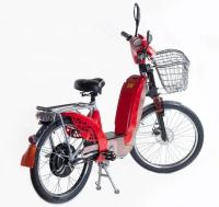China 48V 12Ah 24 Inch Electric Bike with Lead Acid Battery 250W Motor 35km/h for sale
