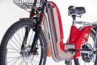 China 48V 12Ah 24 Inch Electric Bike with Lead Acid Battery 250W Motor 35km/h for sale