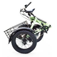 China Aluminum Alloy Frame 3 Wheel Electric Tricycle 48V 500W 20 Inch Fat Tire Folding Cargo Bike for sale