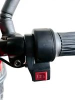 China 48V 12Ah 24 Inch Electric Bike with Lead Acid Battery 250W Motor 35km/h for sale