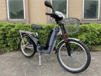 China 48V 12Ah Lead Acid Electric Cargo Bike 350W Motor 150kg Load Capacity for Adults for sale