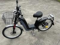 China 48V 12Ah Lead Acid Electric Cargo Bike 350W Motor 150kg Load Capacity for Adults for sale