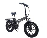 China 20 Inch Fat Tire Foldable Electric Bike 750W 48V 7 Speed 17AH Battery for sale