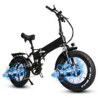 China Dual 1000W Electric Folding Bike 48V 17Ah 20 Inch Fat Tire City E Bike 7 Speed for sale
