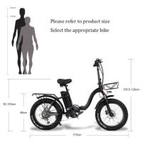 China 20 Inch Fat Tire Electric Folding Bike 48V 750W 7 Speed Foldable E Bike for sale