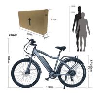 China Adult Electric City Bike 48V 500W Motor 17Ah Lithium Battery Ebike 30-45km/h for sale
