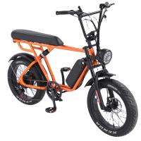 China 20 Inch Fat Tire Electric Hybrid Bike 7 Speed Full Suspension 250W 48V 15Ah Battery for sale