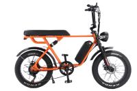 China 20 Inch Fat Tire Electric Hybrid Bike 7 Speed Full Suspension 250W 48V 15Ah Battery for sale