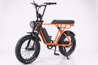 China 20 Inch Fat Tire Electric Hybrid Bike 7 Speed Full Suspension 250W 48V 15Ah Battery for sale