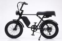 China 48V 750W Electric Hybrid Bike Full Suspension 20 Inch Fat Tire Ebike 17Ah Battery for sale