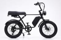 China 48V 750W Electric Hybrid Bike Full Suspension 20 Inch Fat Tire Ebike 17Ah Battery for sale