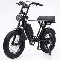 China 48V 750W Electric Hybrid Bike Full Suspension 20 Inch Fat Tire Ebike 17Ah Battery for sale