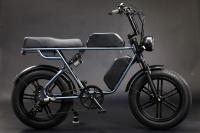China Dual 48V 15Ah Battery Full Suspension Fat Tire Electric Bike 20x4.0 750W Motor for sale
