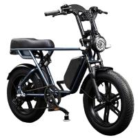 China 48V 750W Full Suspension Fat Tire Electric Bike 20 Inch with LCD Display and 17Ah Battery for sale