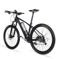 China Carbon Fibre Electric Mountain Bike 250W Motor 27 Speed 30-50Nm Torque for sale