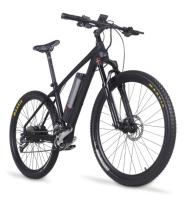 China Carbon Fibre Electric Mountain Bike 250W Motor 27 Speed 30-50Nm Torque for sale