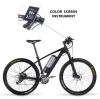 China Carbon Fibre Electric Mountain Bike 250W Motor 27 Speed 30-50Nm Torque for sale