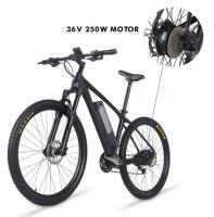 China Carbon Fibre Electric Mountain Bike 250W Motor 27 Speed 30-50Nm Torque for sale