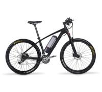 China Carbon Fibre Electric Mountain Bike 250W Motor 27 Speed 30-50Nm Torque for sale
